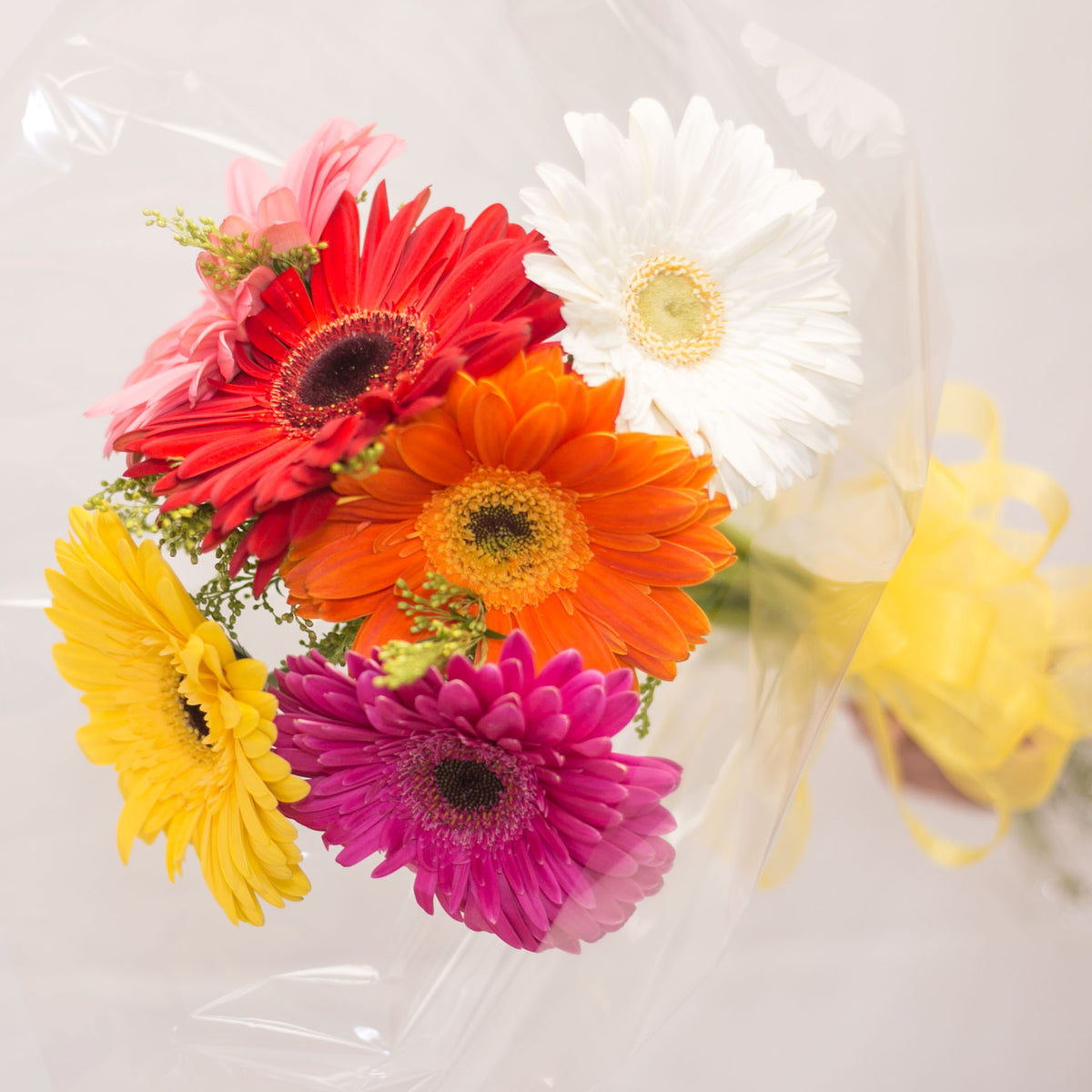 Ramo de 6 Gerberas – flordejade